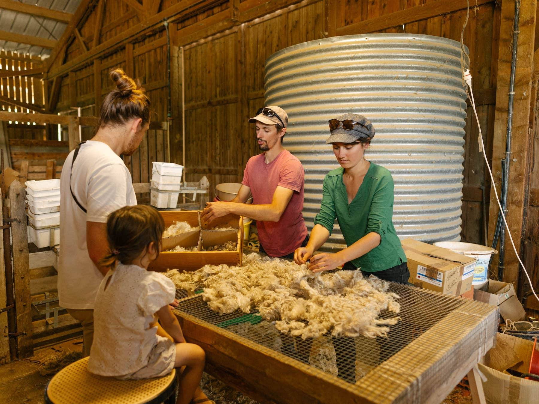 Agritourisme en France : découvrez le tourisme vert à la ferme