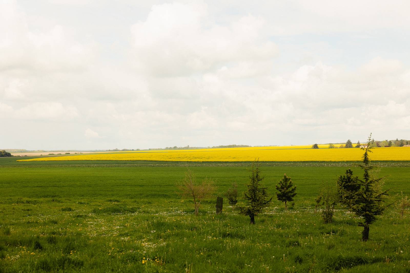 Louez la Tiny House de Brunel près de Versailles I Parcel