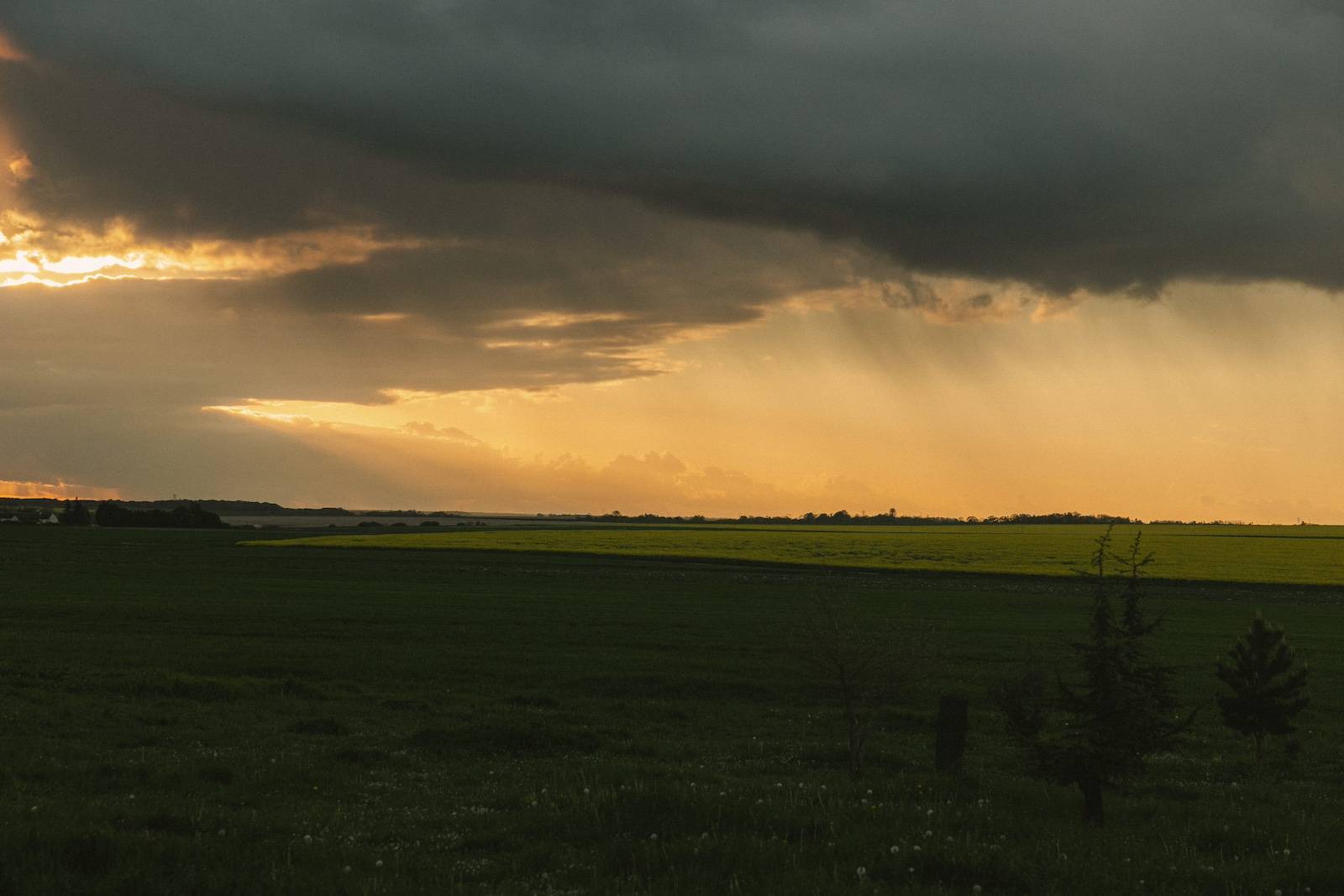 Louez la Tiny House de Brunel près de Versailles I Parcel