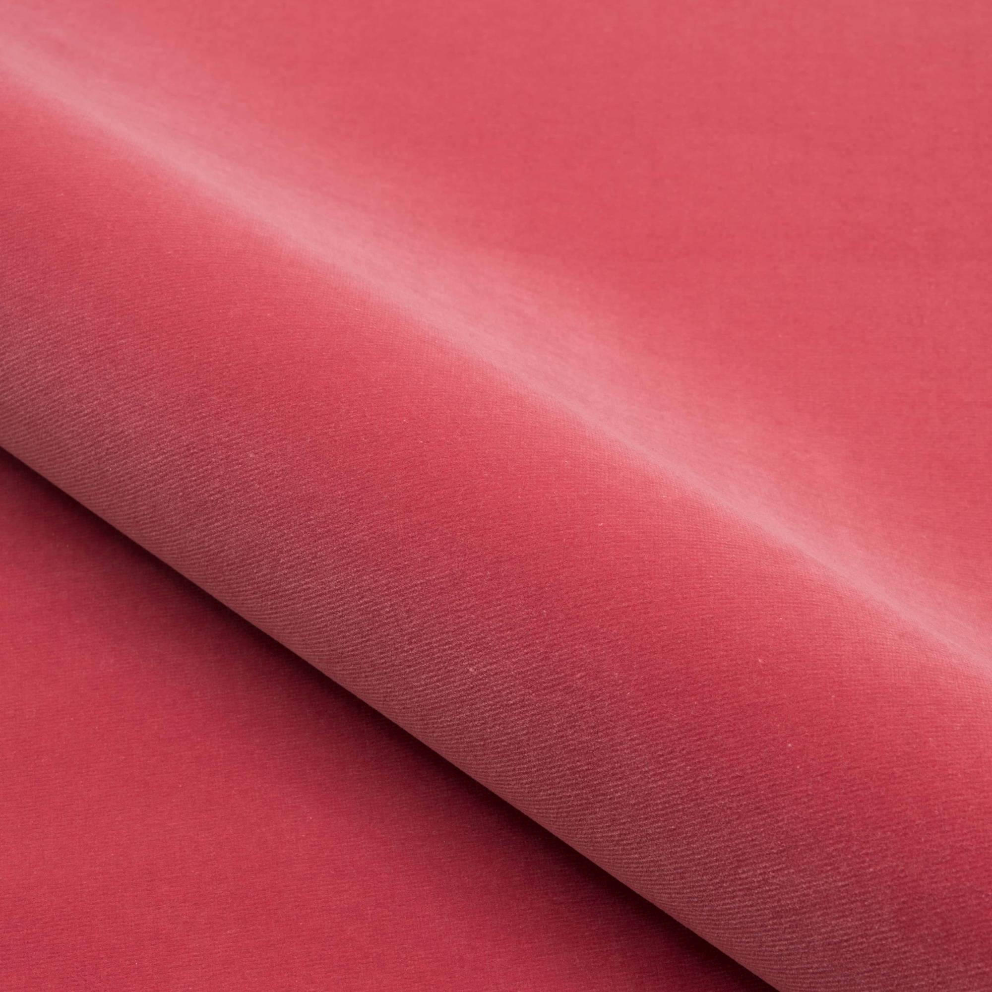 Otello N°2 — Nobilis