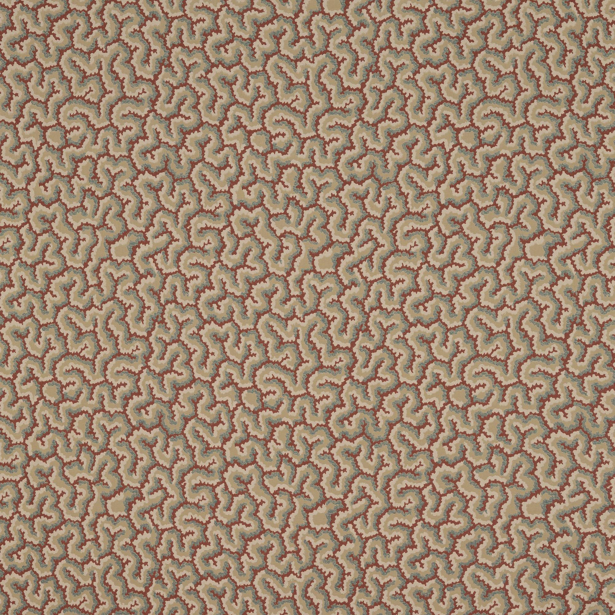 Lophelia — Nobilis