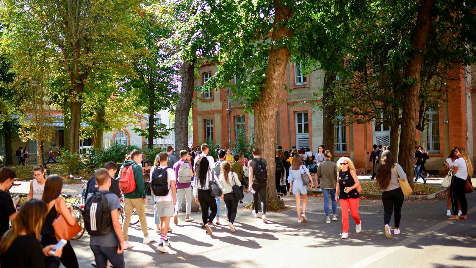 TSM's Programme Portfolio | TSM Éducation