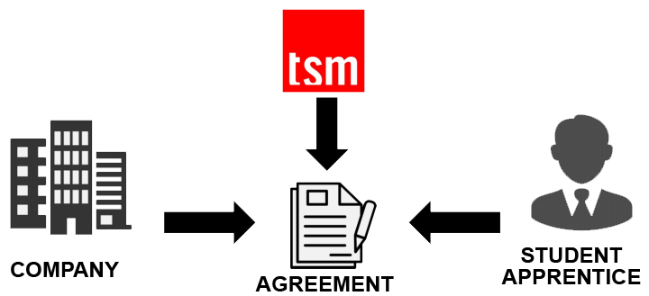 Student Apprentices | TSM Éducation